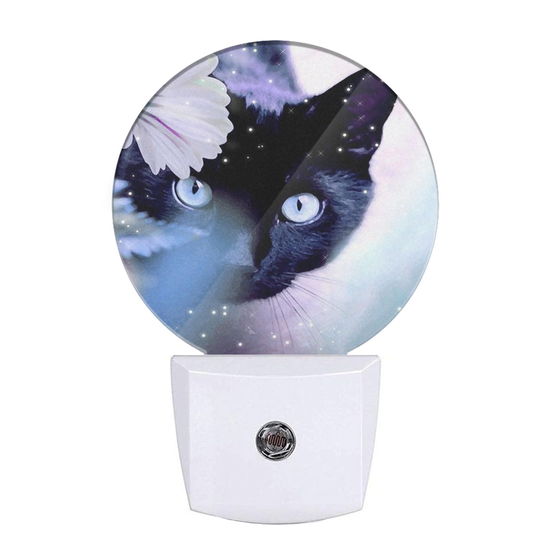 EKOBLA Kitten Animal LED Night Light Black Cat Hiding Behind White ...