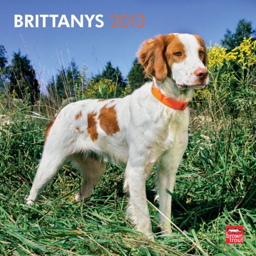 Buy Brittanys 2013 Calendar Book Online at Low Prices in India ...