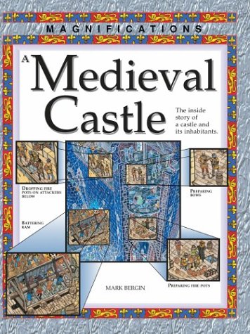 A Medieval Castle: Bergin, Mark: 9781577689805: Amazon.com: Books