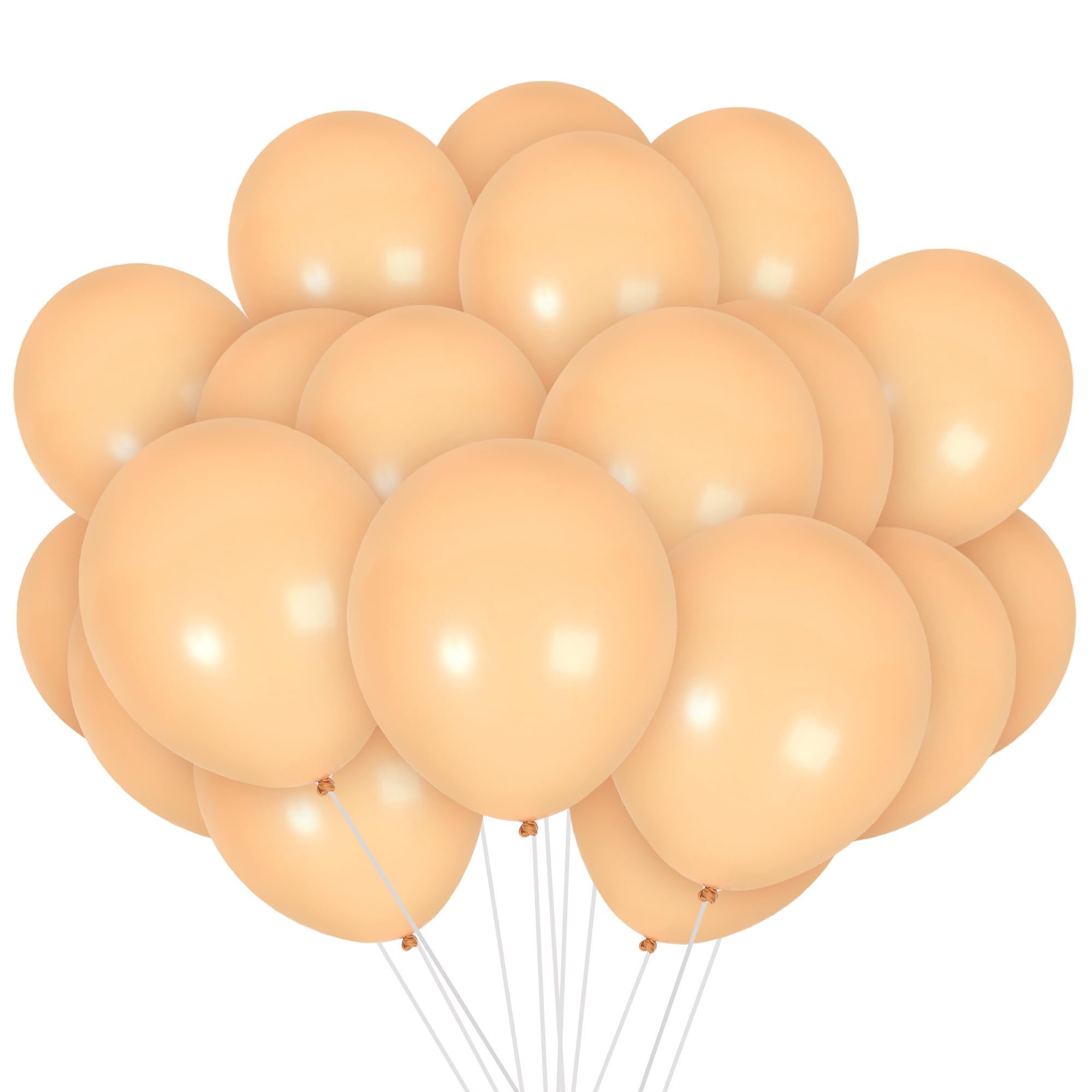Amazon.com: Treasures Gifted Glossy Nude Balloons 12 inch 36 Pack - Tan ...