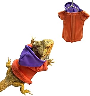 The Cost Of Owning A Pet Lizard: Assessing The Financial Commitment ...