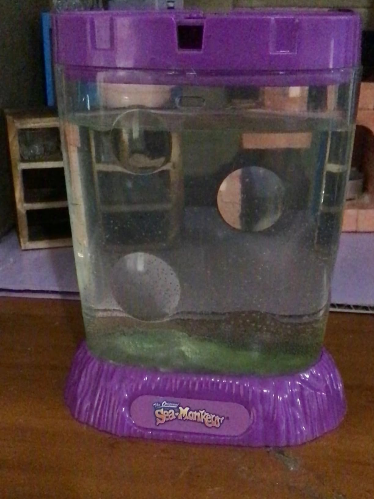 The Original Sea-Monkeys Ocean Zoo Set 17 cm*35 cm*31 : Amazon.com.au ...
