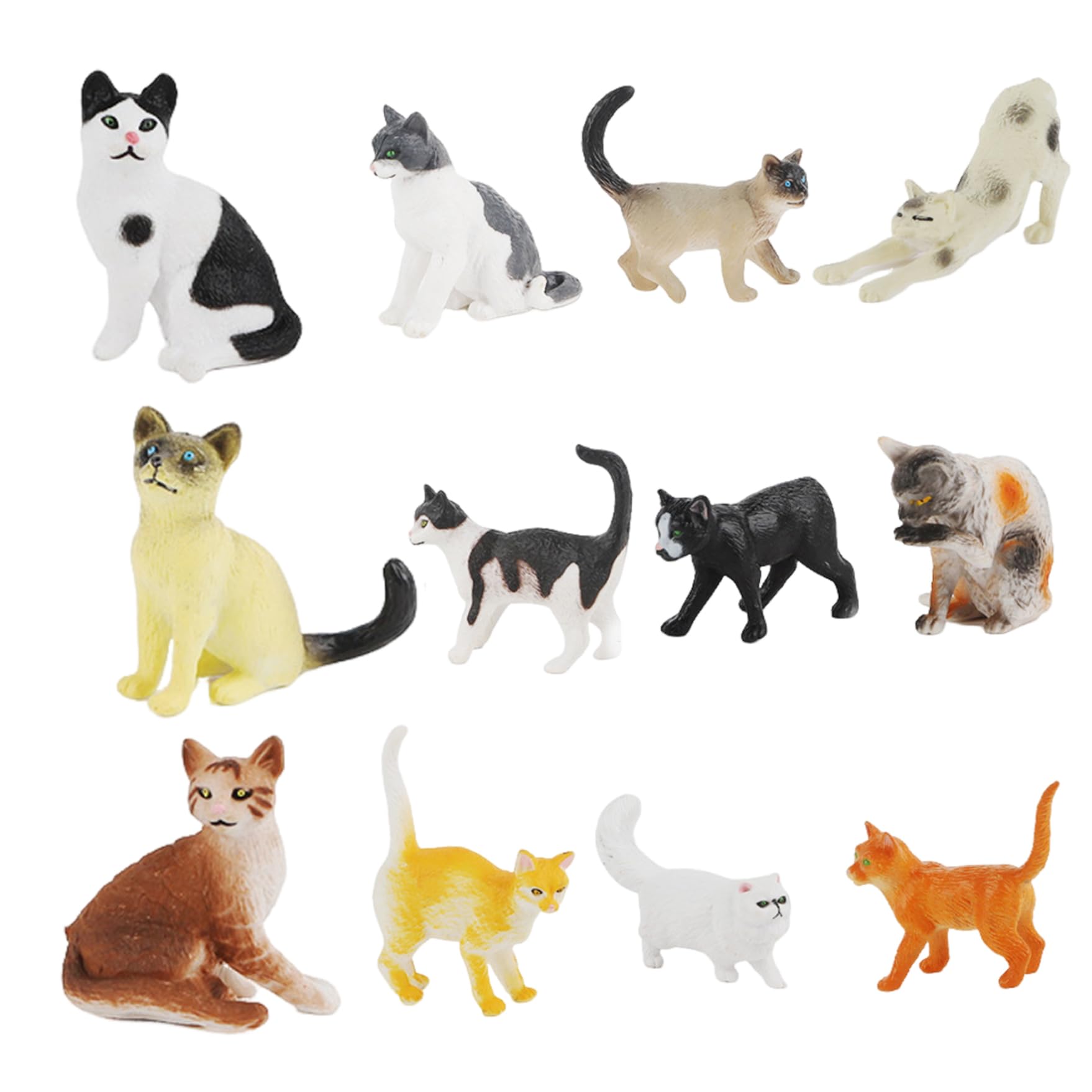 Animales Divertidos Gatos 12 Edad De Tu Gato: Equivalencia En Años