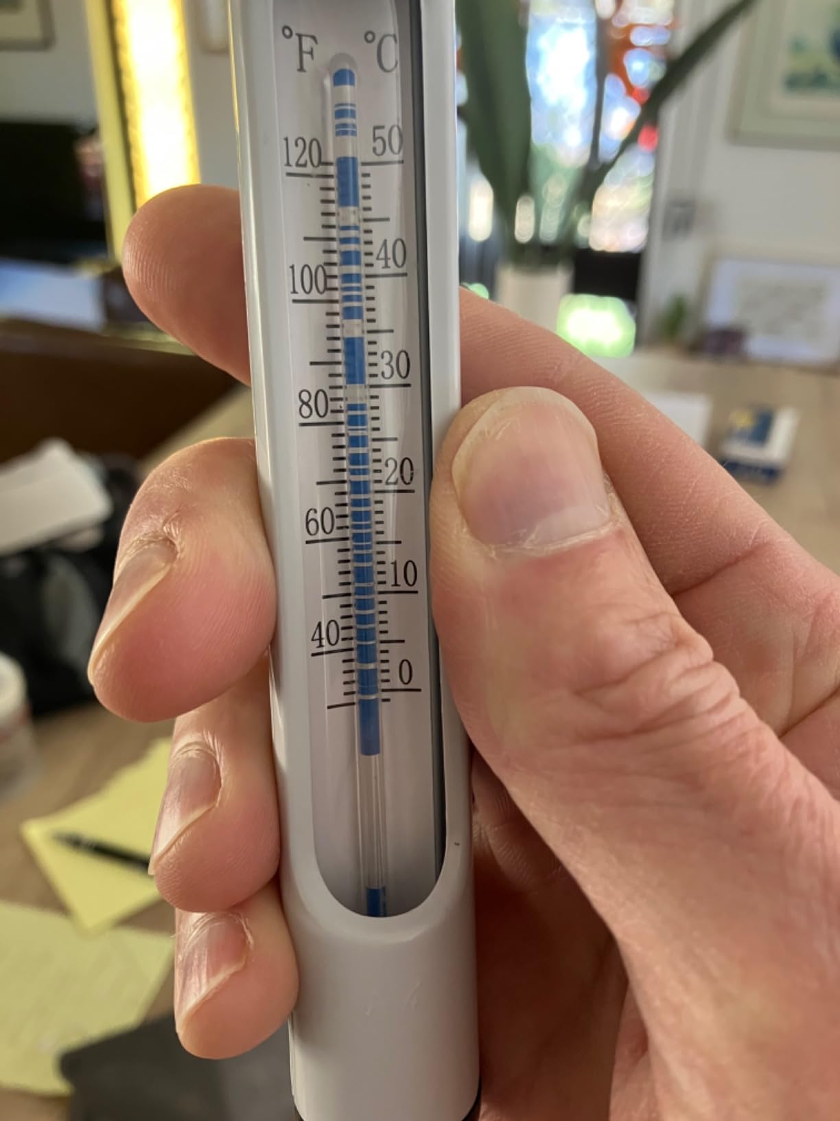 Intex Pool Thermometer 1-Pack White : Amazon.com.au: Everything Else