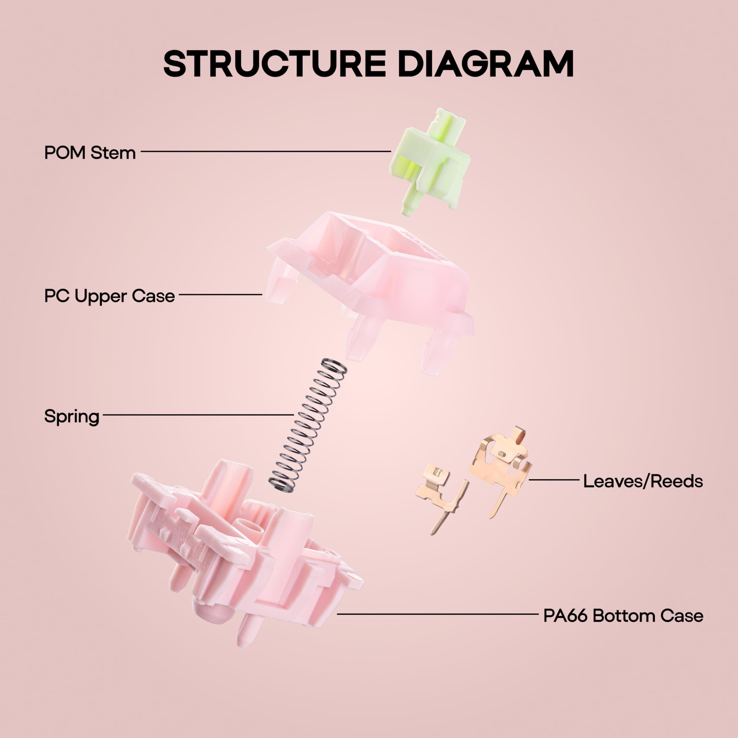 Snapklik.com : KiiBOOM X Strawberryjam1986 Linear Mechanical Switch Set ...