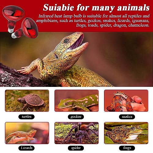 Lotvic 2 Pack 100W Infrared Reptile Heat Lamp Bulb, E27 Basking Spot ...