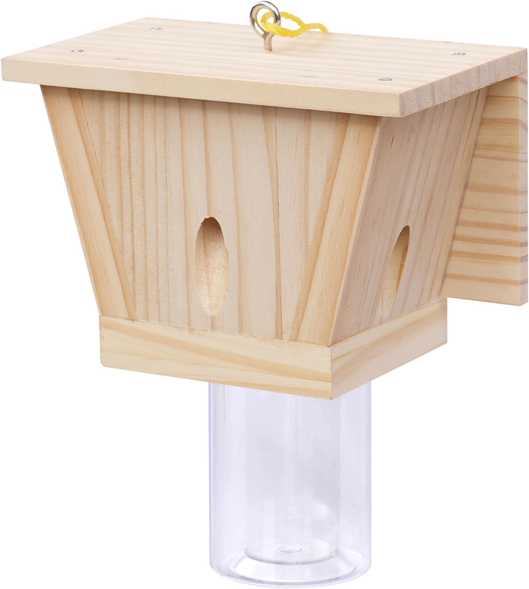 Amazon.com : Bee Warehouse - Carpenter Bee Trap - Wood Boring Bee Trap ...