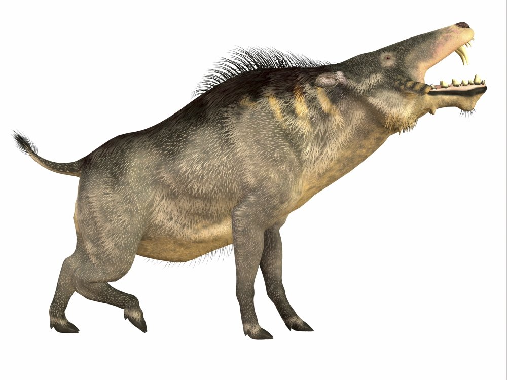 Entelodon