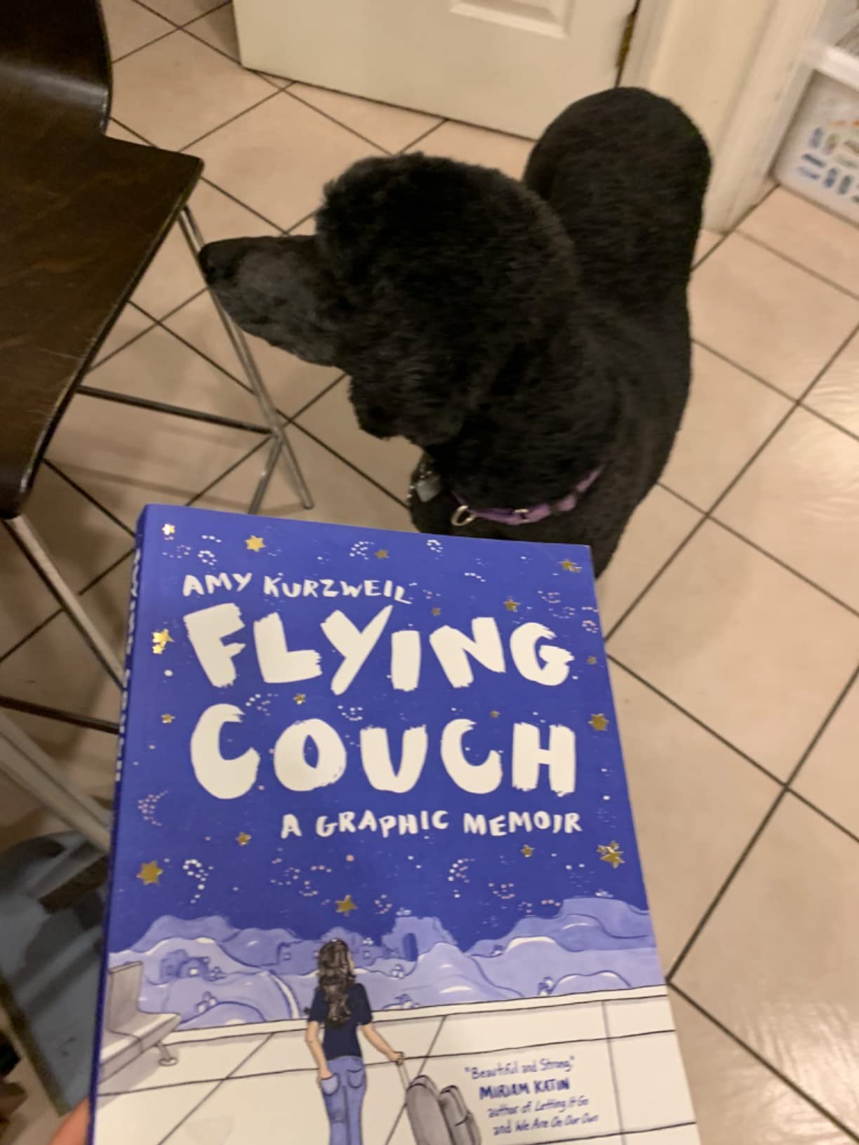 $3/mo - Finance Flying Couch: A Graphic Memoir | Buy Now, Pay Later