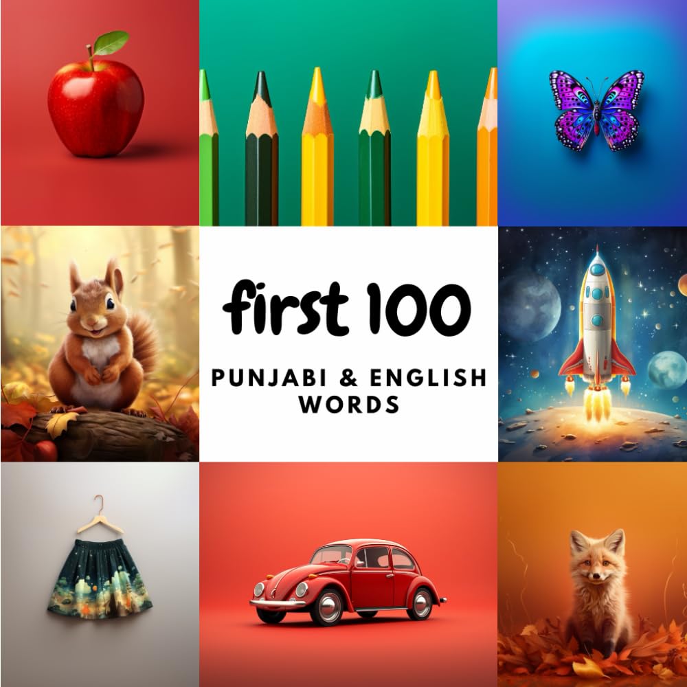 Amazon.com: First 100 Punjabi & English Words (Learn Punjabi ...
