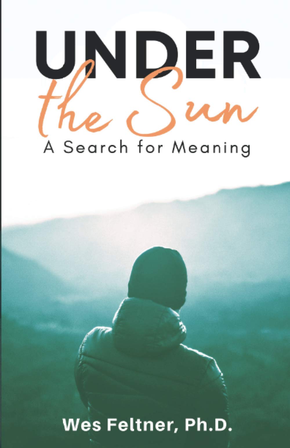 Under the Sun: A Search for Meaning: Feltner Ph.D., Wes: 9781947153240 ...