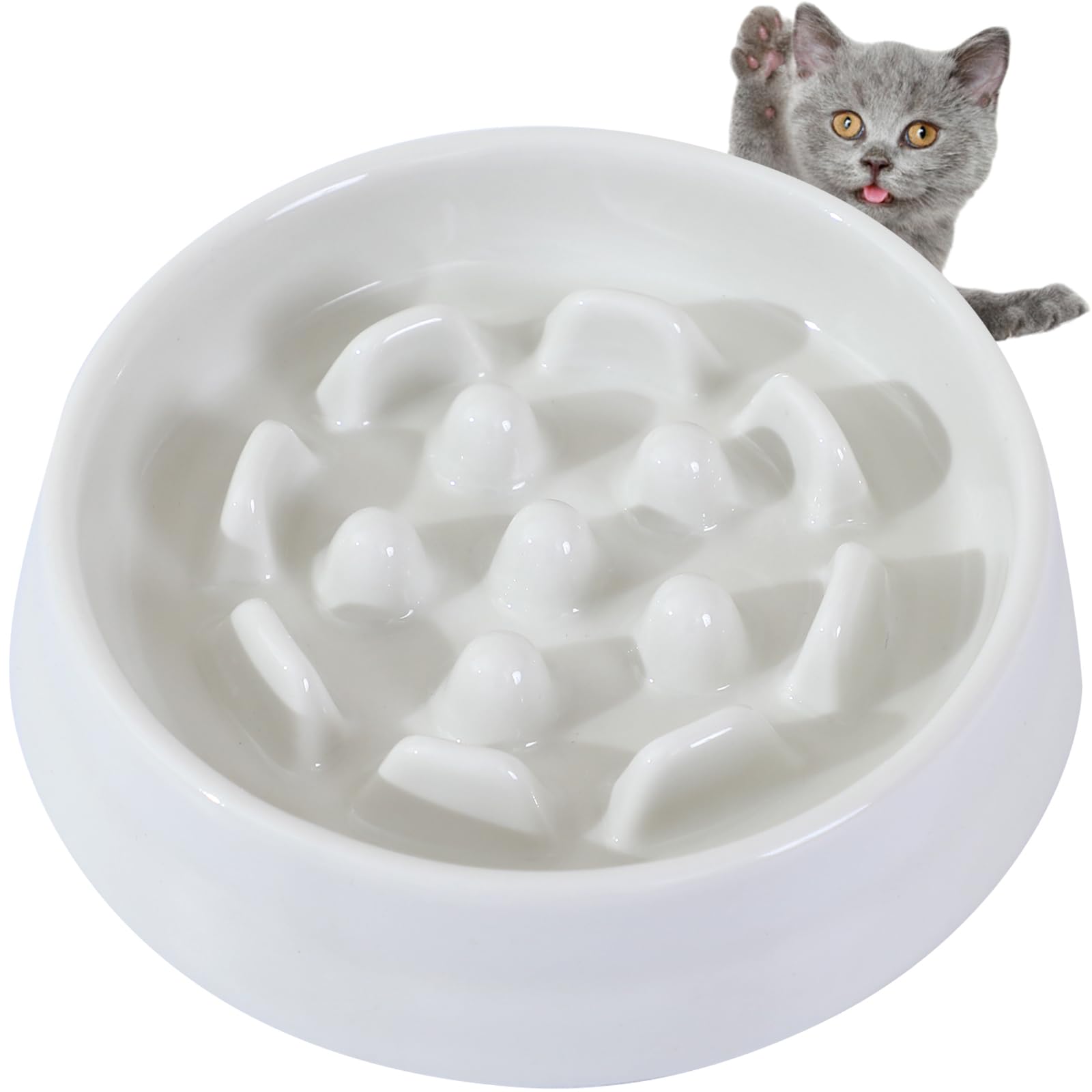 Amazon.com: JuWow Ceramic Cat Slow Feeder Food Bowl, Higher Edges Non ...