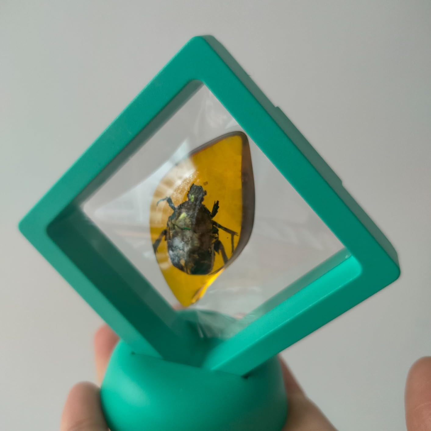 Kikuo Amber Gemstone Dig Kit, Insect Digging Kit Set For Kids, 6 Real ...