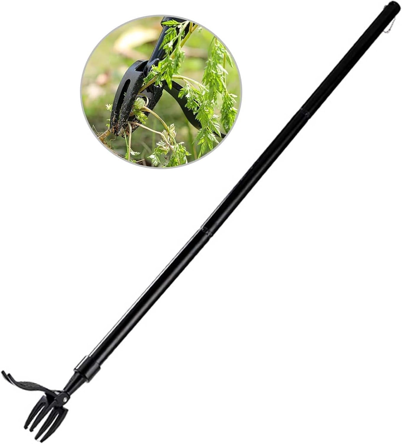 Amazon.com : JILITSE Weed Puller Tool, Stand Up Garden Weeder with 39" Handle & 4-Claw Steel ...