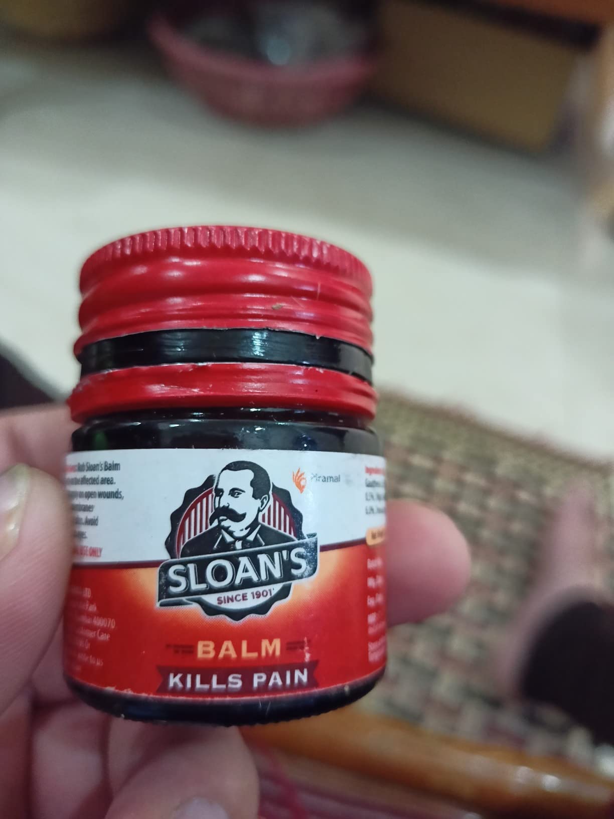 Sloan's Balm Pain Relief with 5 Herbal Oils & Capsicum Extract