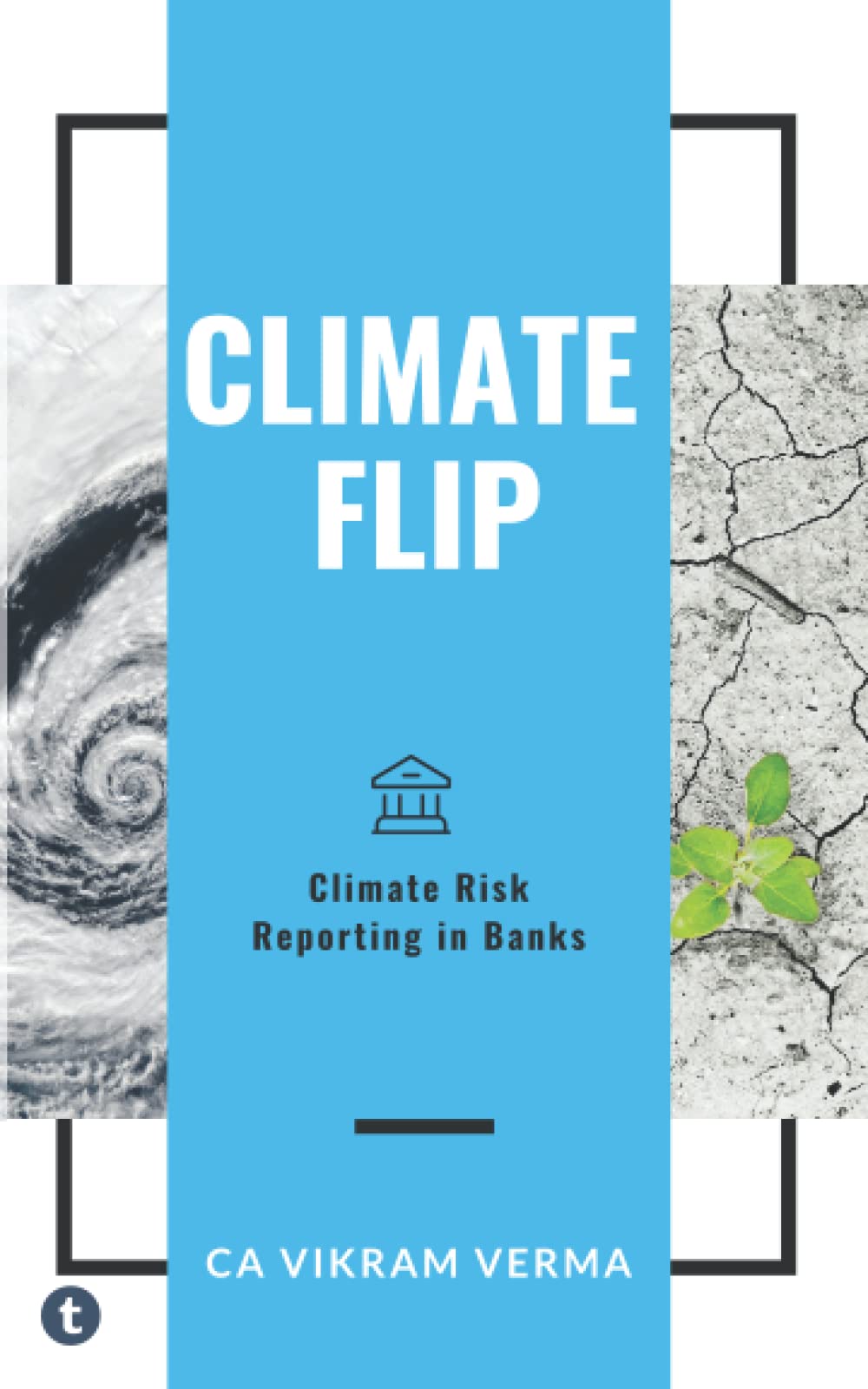 Climate Flip - Climate Risk reporting in Banks: Climate Change ...