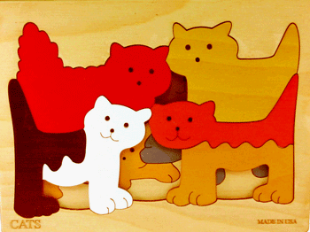 Cats: Fenn Publishing Ltd.: 9781551680033: Amazon.com: Books