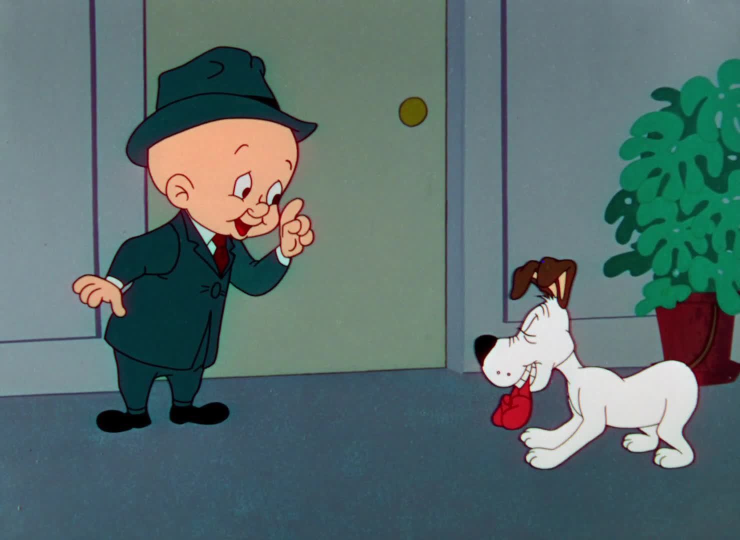 Watch Elmer Fudd - Season 1 | Prime Video