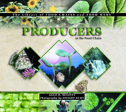 Amazon | Producers in the Food Chain (The Library of Food Chains and ...