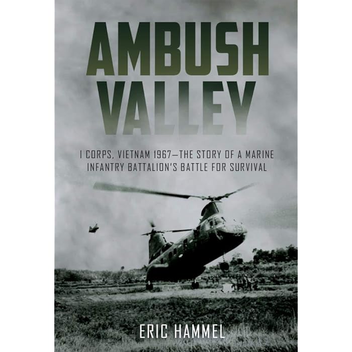 Buy Ambush Valley: I Corps, Vietnam 1967–the Story of a Marine Infantry ...