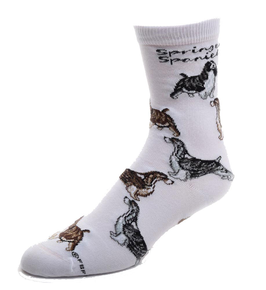 Amazon.com: Animal Den Springer Spaniel Socks Poses 2 : Clothing, Shoes ...