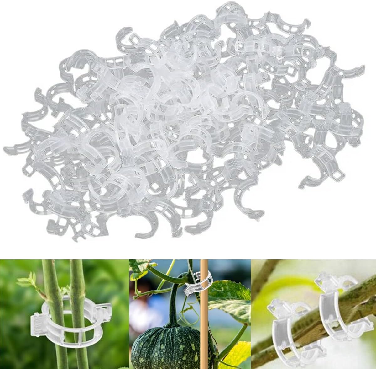 Amazon.com: Secured Plastic Plant Clip, 2025 New Plant Support Clips ...