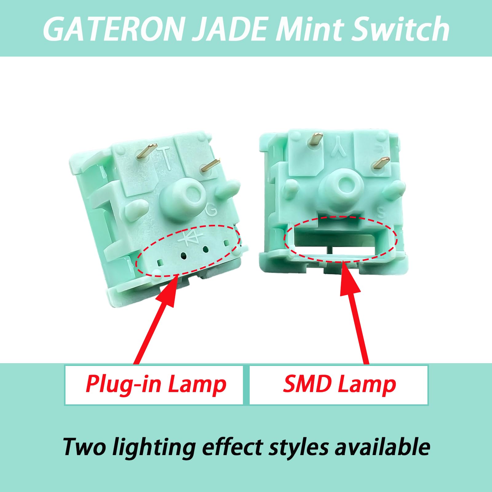Snapklik.com : Gateron Mint V2 Linear Keyboard Switches,5 Pin Pre-lubed ...