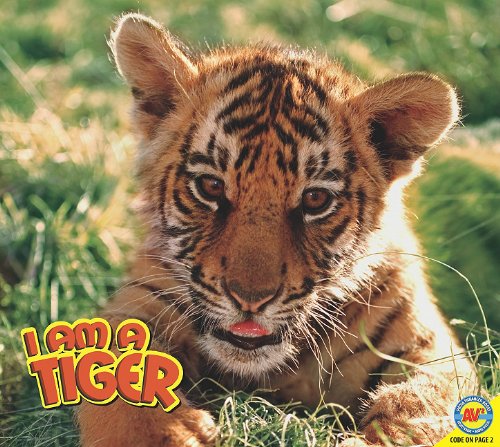 I am a Tiger: Macleod, Steve: 9781616908539: Amazon.com: Books