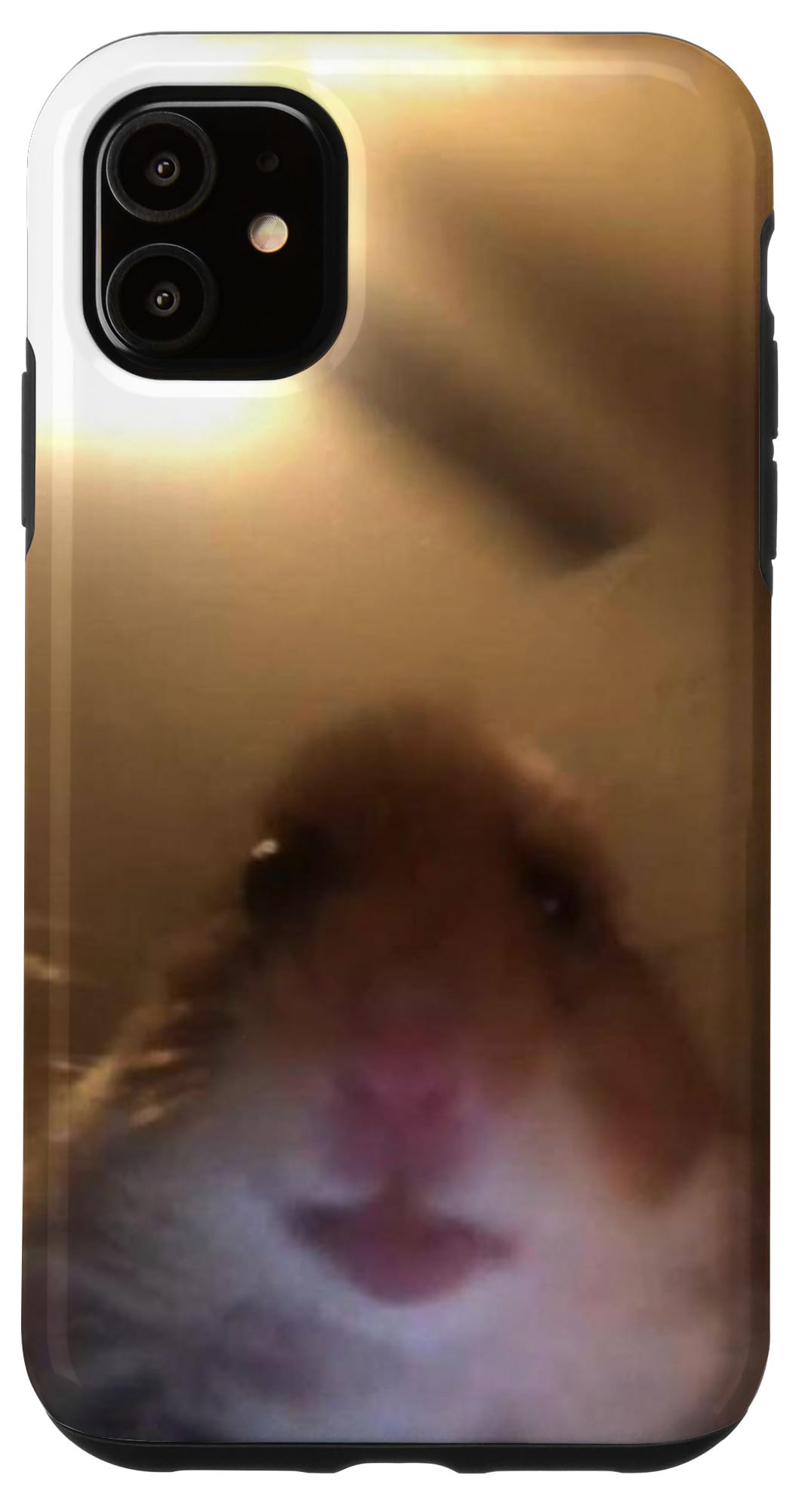 Amazon.com: iPhone 11 Hamster Meme Videocall Home Office Home School ...