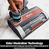 Amazon.com - SHARK HN175 Rocket Pro Corded Stick Vacuum with Odor ...
