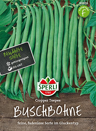 Buschbohnen, 'Cropper Teepee' : Amazon.de: Garten
