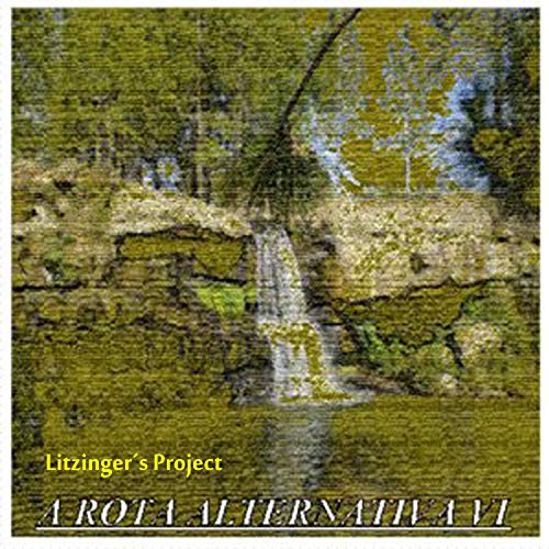 Play Vi by Litzinger's Project on Amazon Music