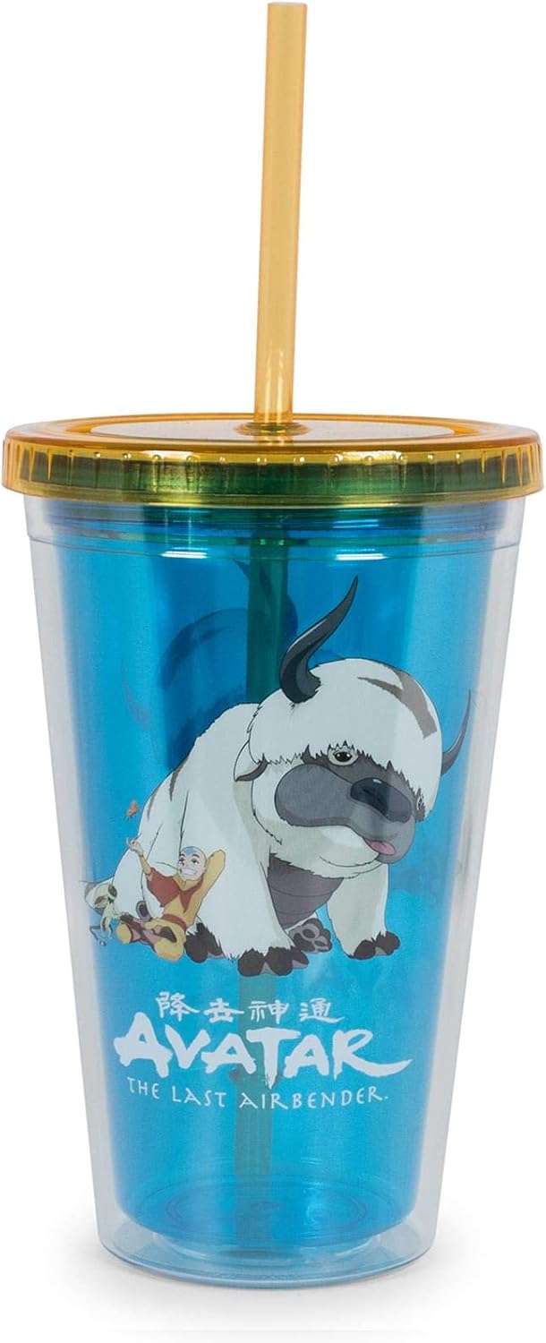 Amazon.com | Avatar: The Last Airbender Aang and Appa Carnival Cup With ...