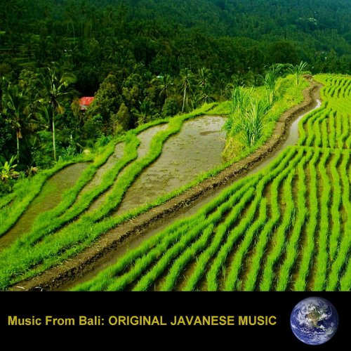 Amazon.com: Music From Bali: Original Javanese Music : The Gamelan ...