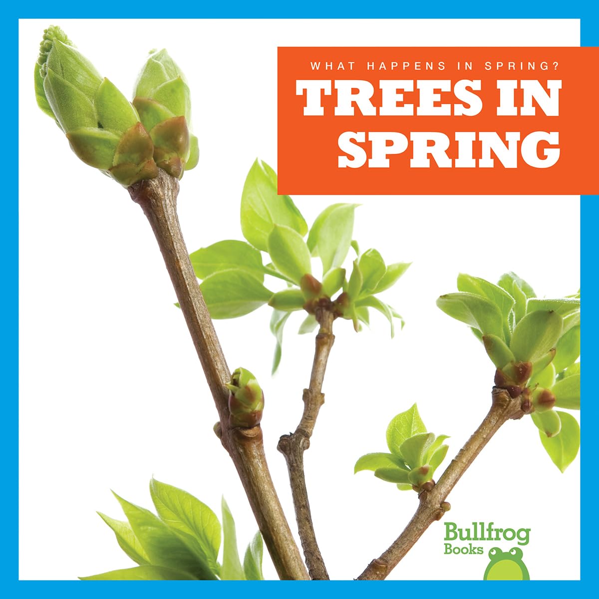 Trees in Spring (Bullfrog Books: What Happens in Spring?): Jenny ...