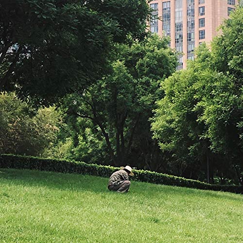 Rabbit Hole von Nathan Koah bei Amazon Music - Amazon.de