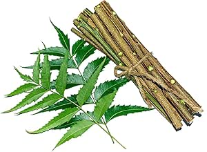 Amazon.com: Ayurvedic Natural Organic Neem Datun, Manual Toothbrush Nim ...