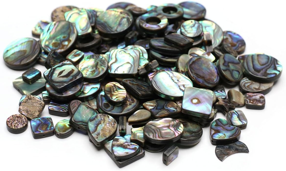 Amazon.com: 20 Pcs Natural Abalone Shell Beads Different Shapes ...