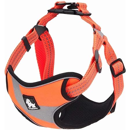 Amazon.com : TRUE LOVE Dog Harness TLH5991 Anti Pull Safety Vest Step ...