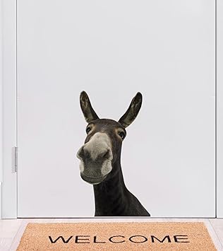 Amazon.com: Cute Donkey Wall Decal - Peel & Stick Funny Donkey Head ...