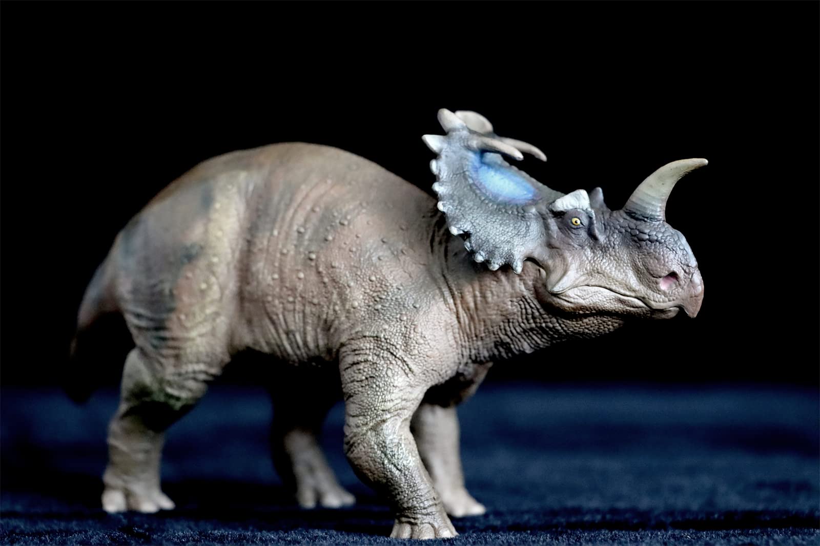 Buy PNSO 60 Jennie Centrosaurus Figure Triceratops Ceratopsidae ...