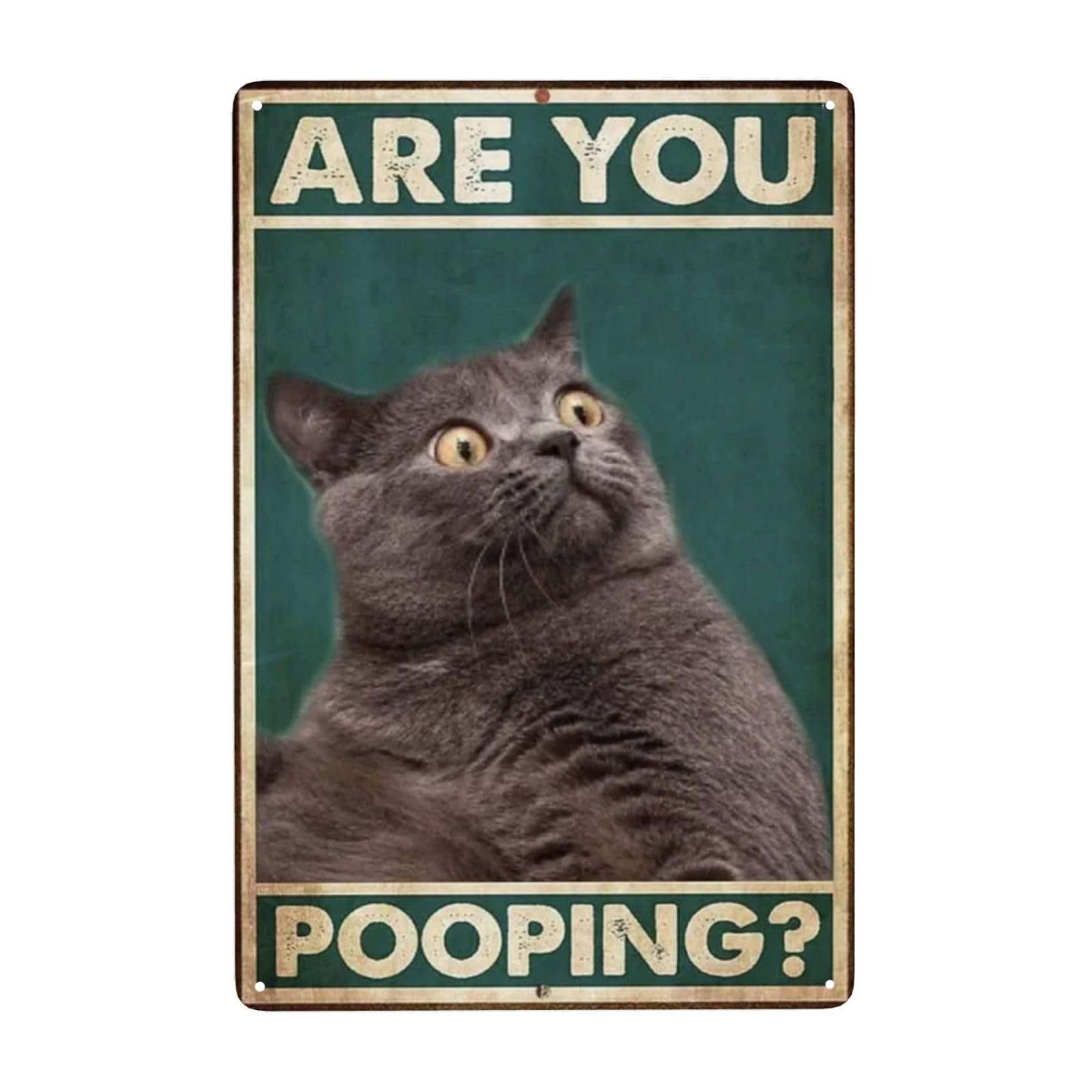 Amazon.com: Syiomlis Are You Pooping Funny Metal Tin Sign Vintage Black ...