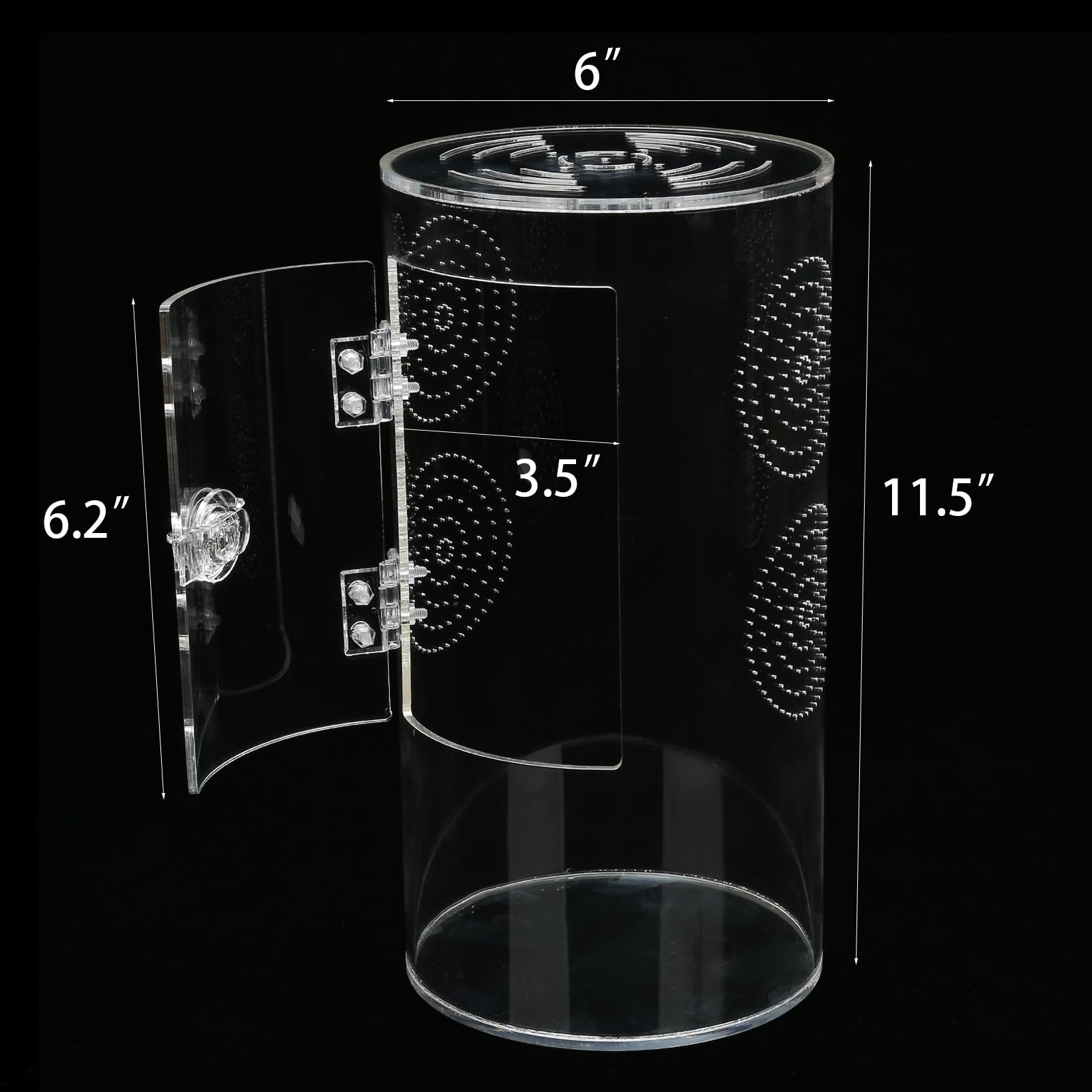 Snapklik.com : Jumping Spider Enclosure, 11.566, Micro Habitat ...