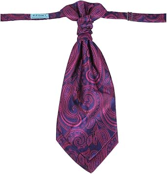 Amazon.com: Epoint Man X Long Cravat Tie Ascot Patterned Clip-On ...