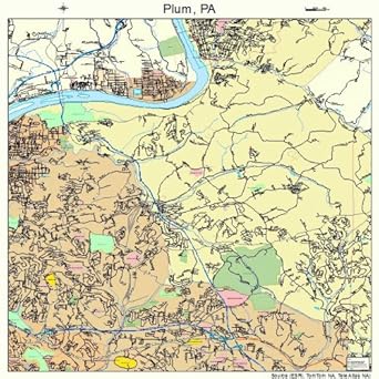 Amazon.com: Large Street & Road Map of Plum, Pennsylvania PA - Printed ...