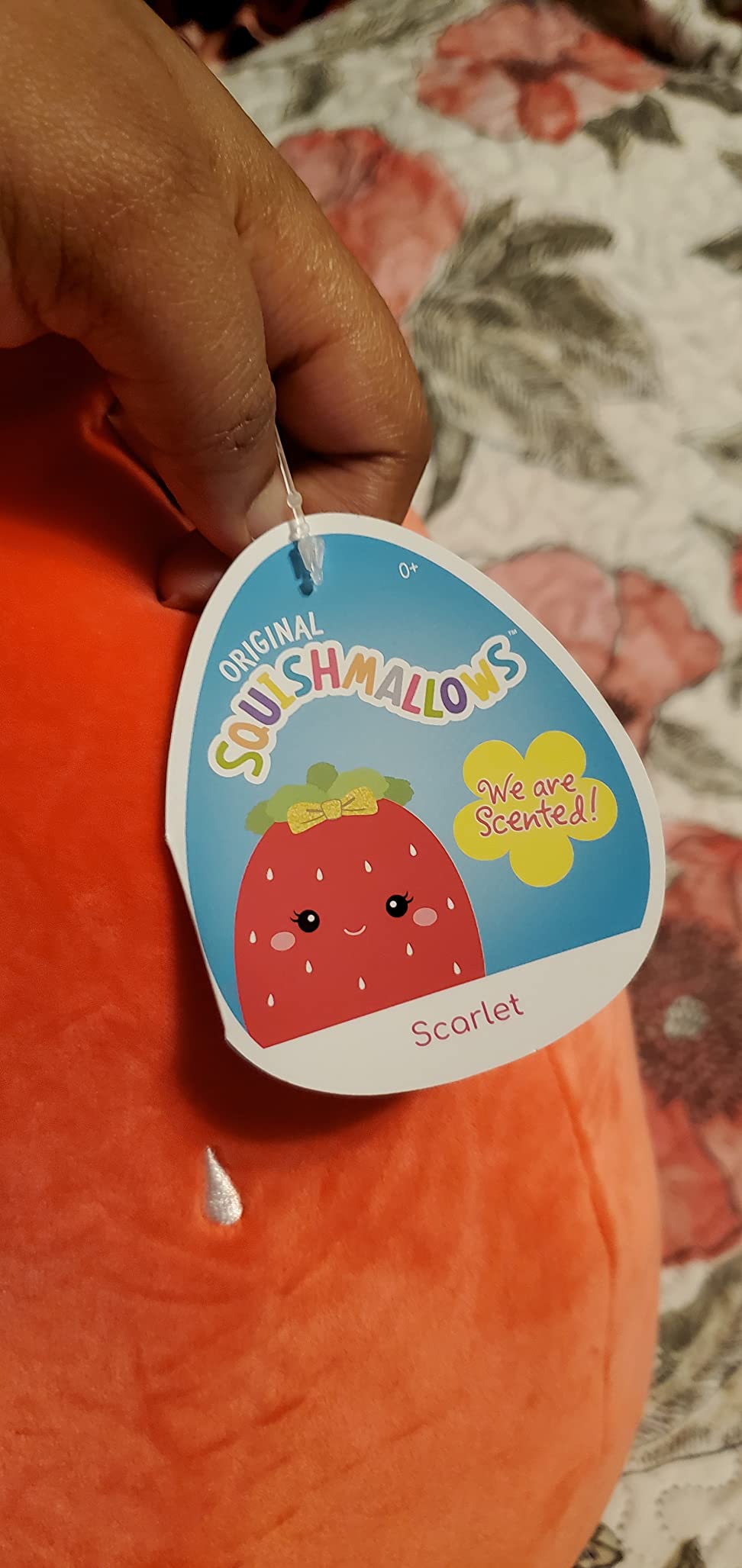 Amazon.com: Squishmallows 14-Inch Strawberry - Scented Add Scarlet to ...