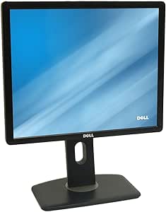 DELL Professional P1914S 19-Inch Screen LED-Lit Monitor, Black : Amazon ...