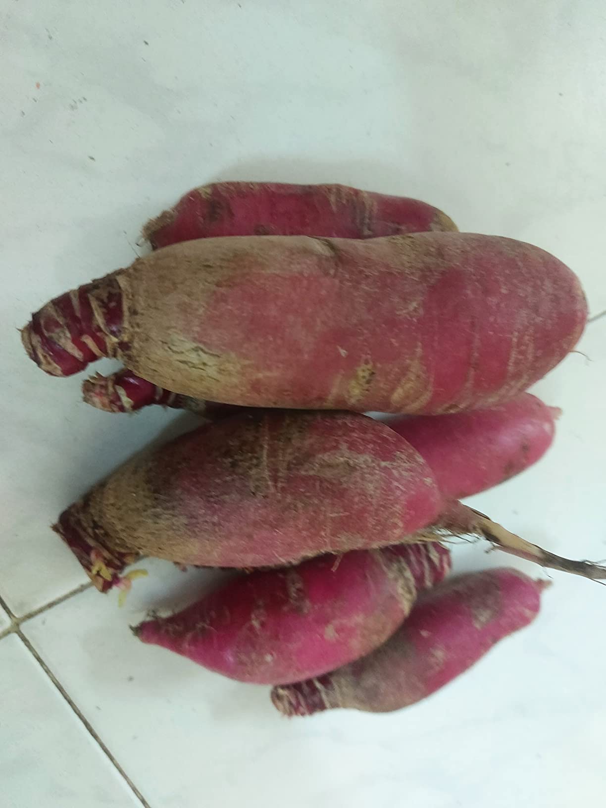 Fresh Radish - Red, 500g : Amazon.in: Grocery & Gourmet Foods