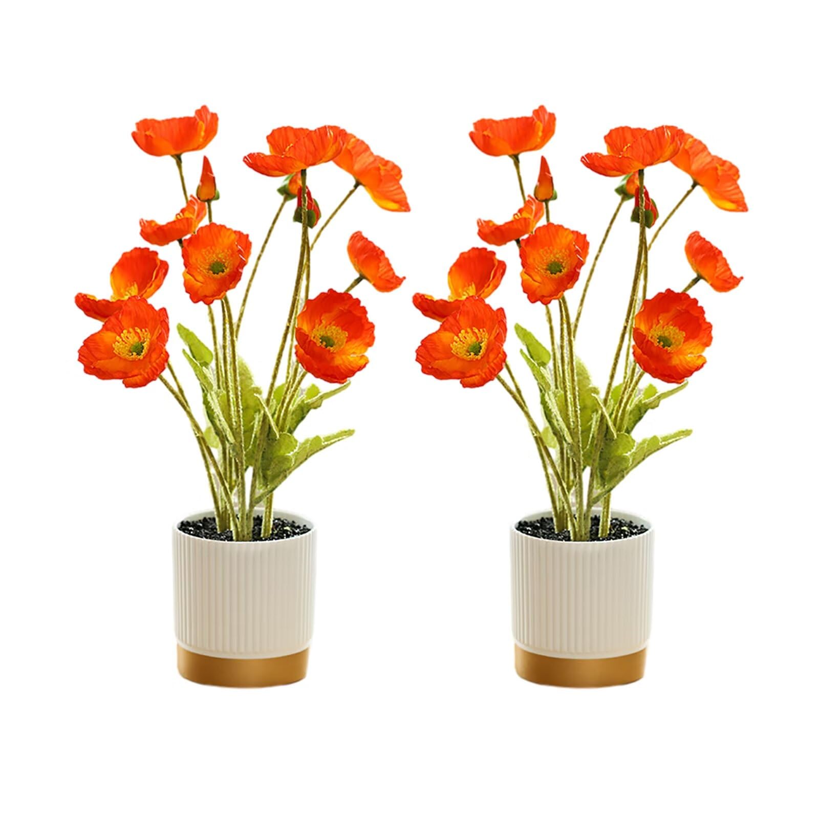 Amazon.com: Lovmeety 2 Pack Potted Poppy Flowers, Orange Poppy Flowers ...