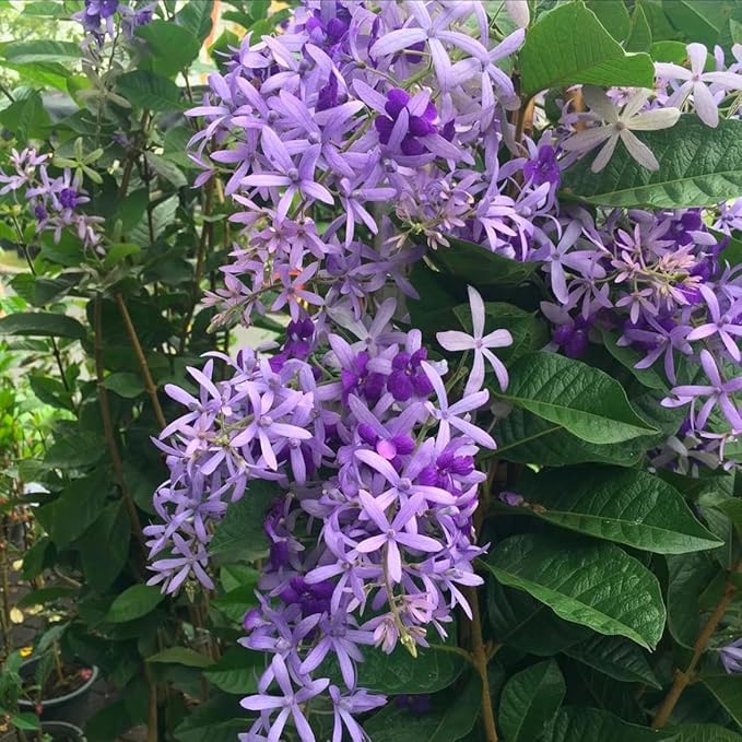 To view this video download Flash Player